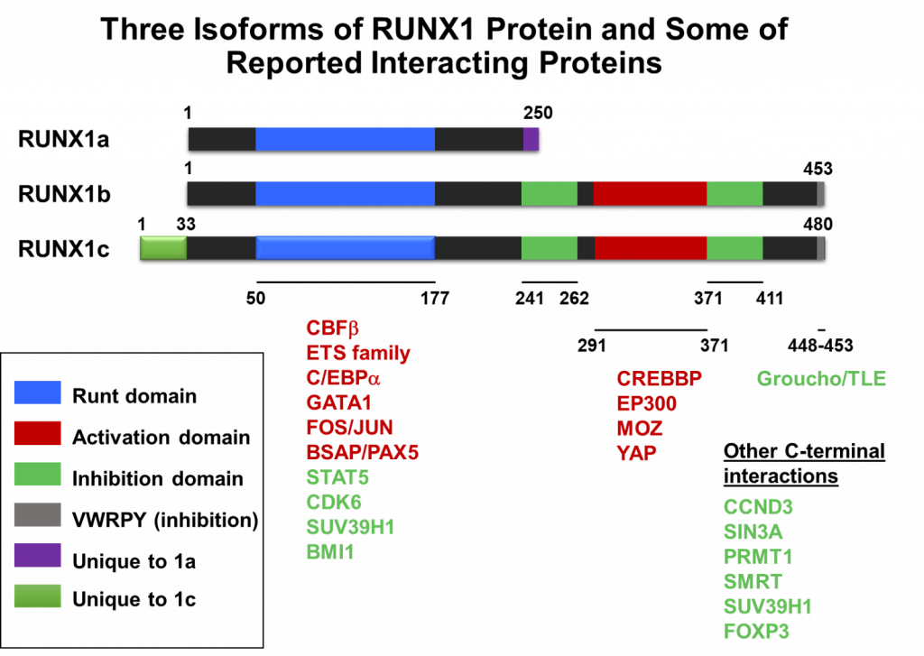 Research – The Zhang Lab
